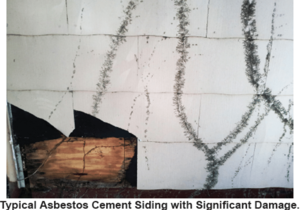 Asbestos Cement Siding