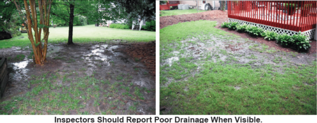 Defects and Standards